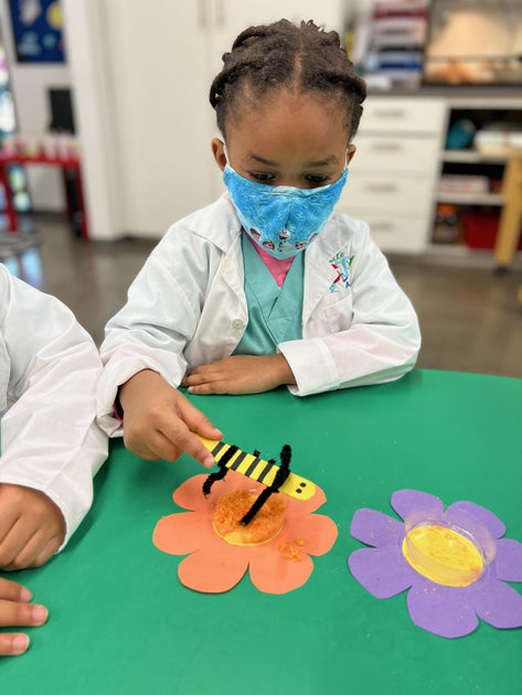 Bee Pollination Experiment – Our Kids Need Stem